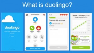 Download Duolingo for Windows 11 - Windows Mode
