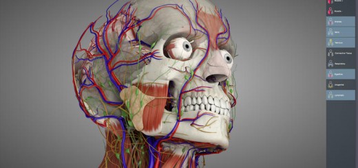 Essential anatomy 3 for windows - Aslobikini