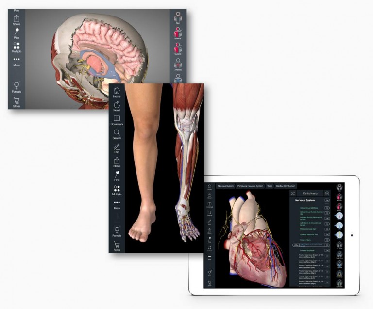 Essential anatomy for pc - virtmagnet