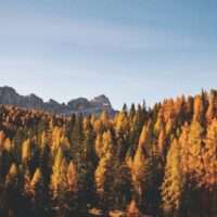 Fall Theme for PC - Windows Mode