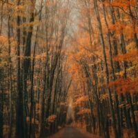 Fall Theme for PC - Windows Mode